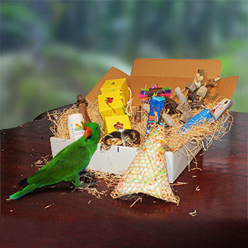 Parrotbox Pet Supplies, Bird Toys and Parrot Supplies Australia
